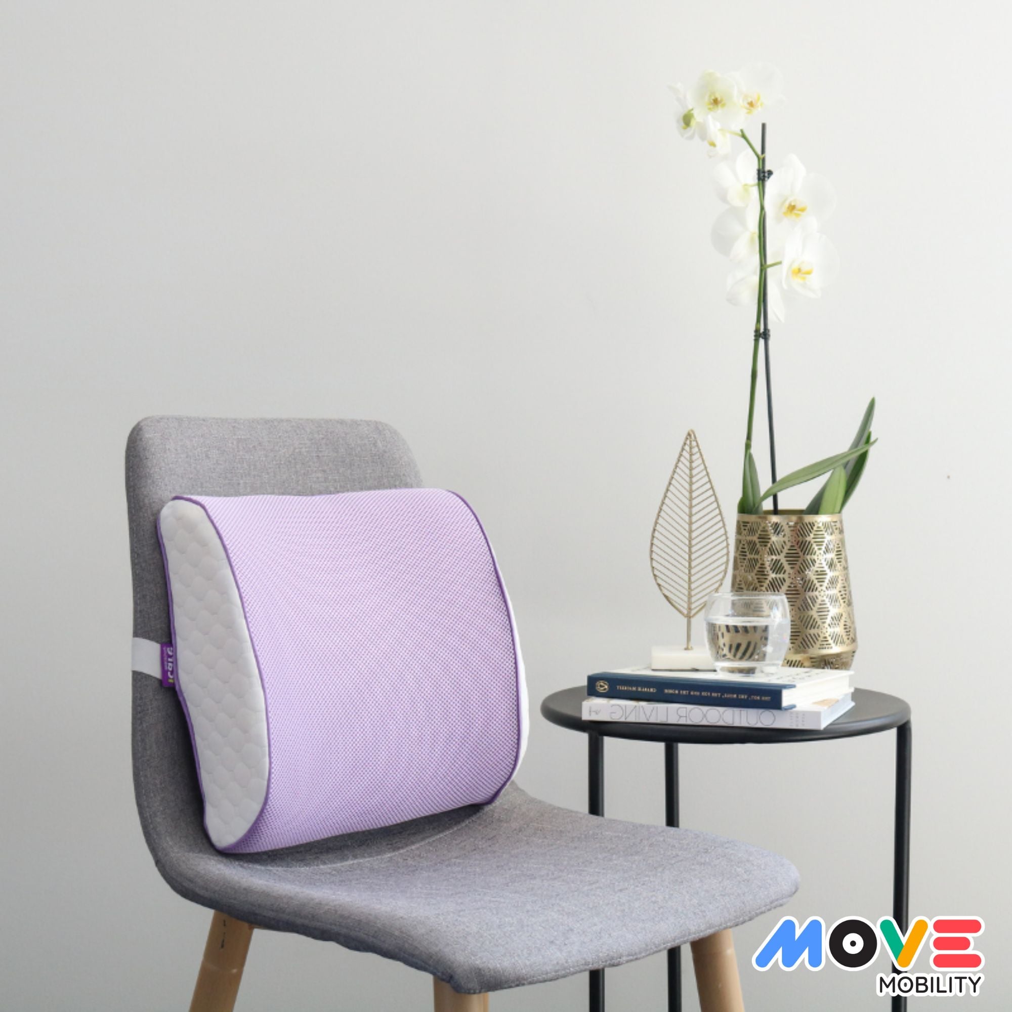 Buy ICARE Back Cushion | Move Mobility
