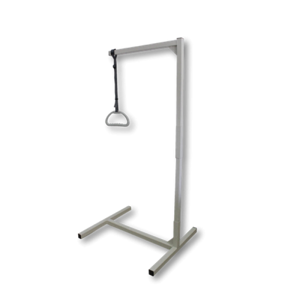 Buy ICARE Over Bed Pole Rail | Move Mobility